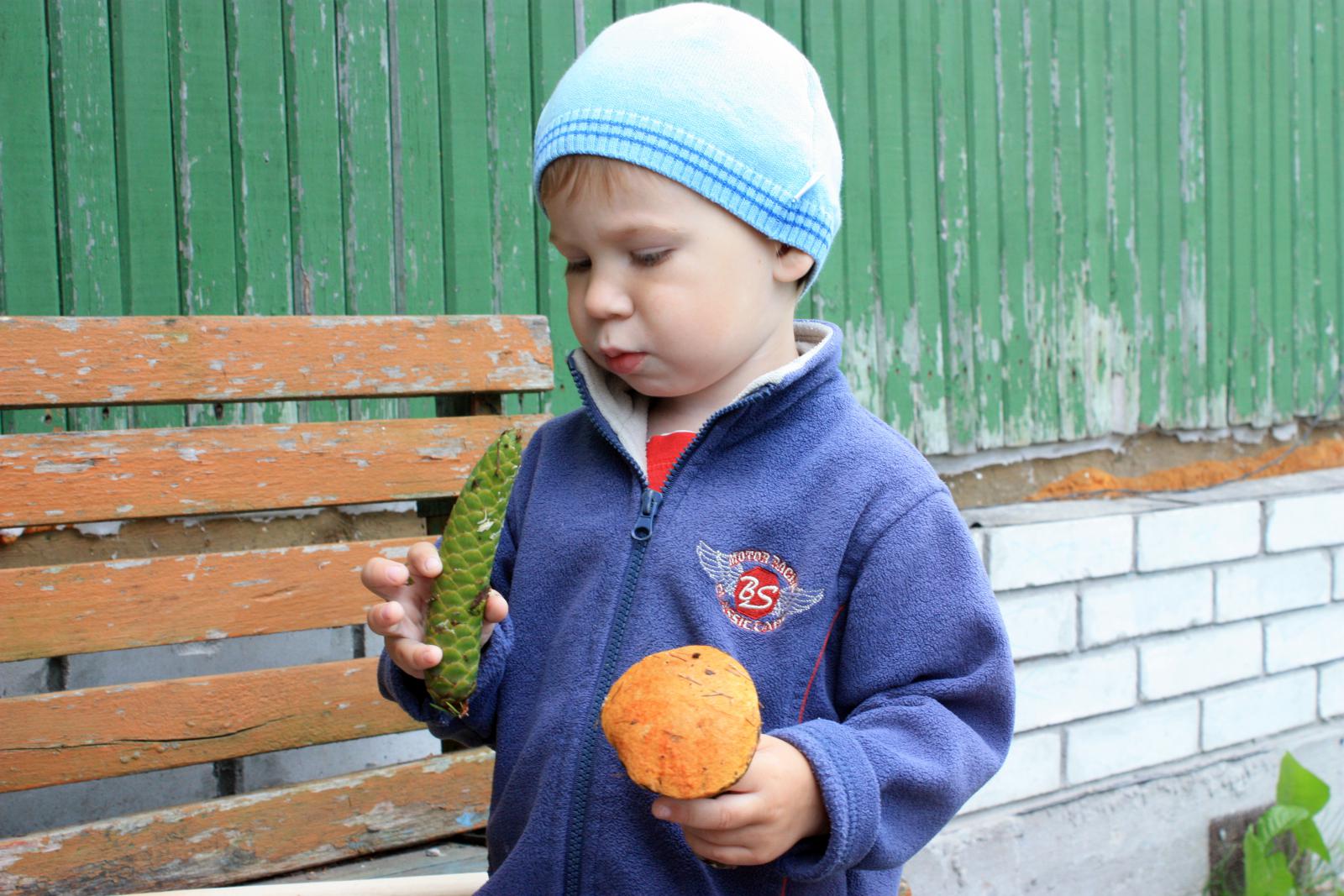 Всякопсто: v_pychick — LiveJournal